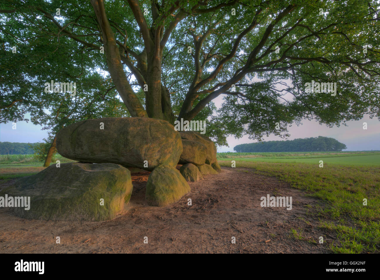 Historical dolmen in Drenthe in the North of Netherlands Stock Photo ...