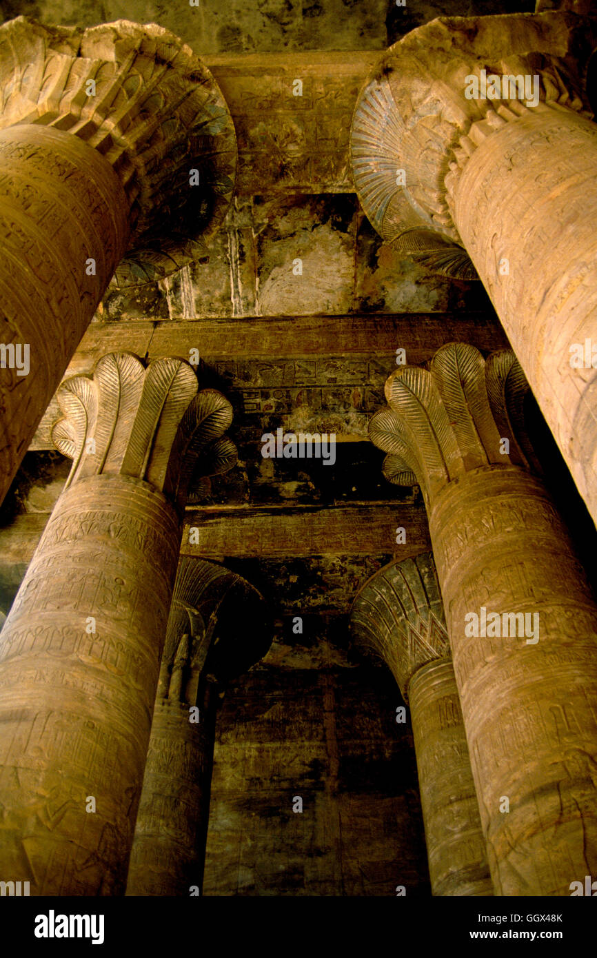 Floral topped columns inside the Temple of Hathor at Dendera, southern ...