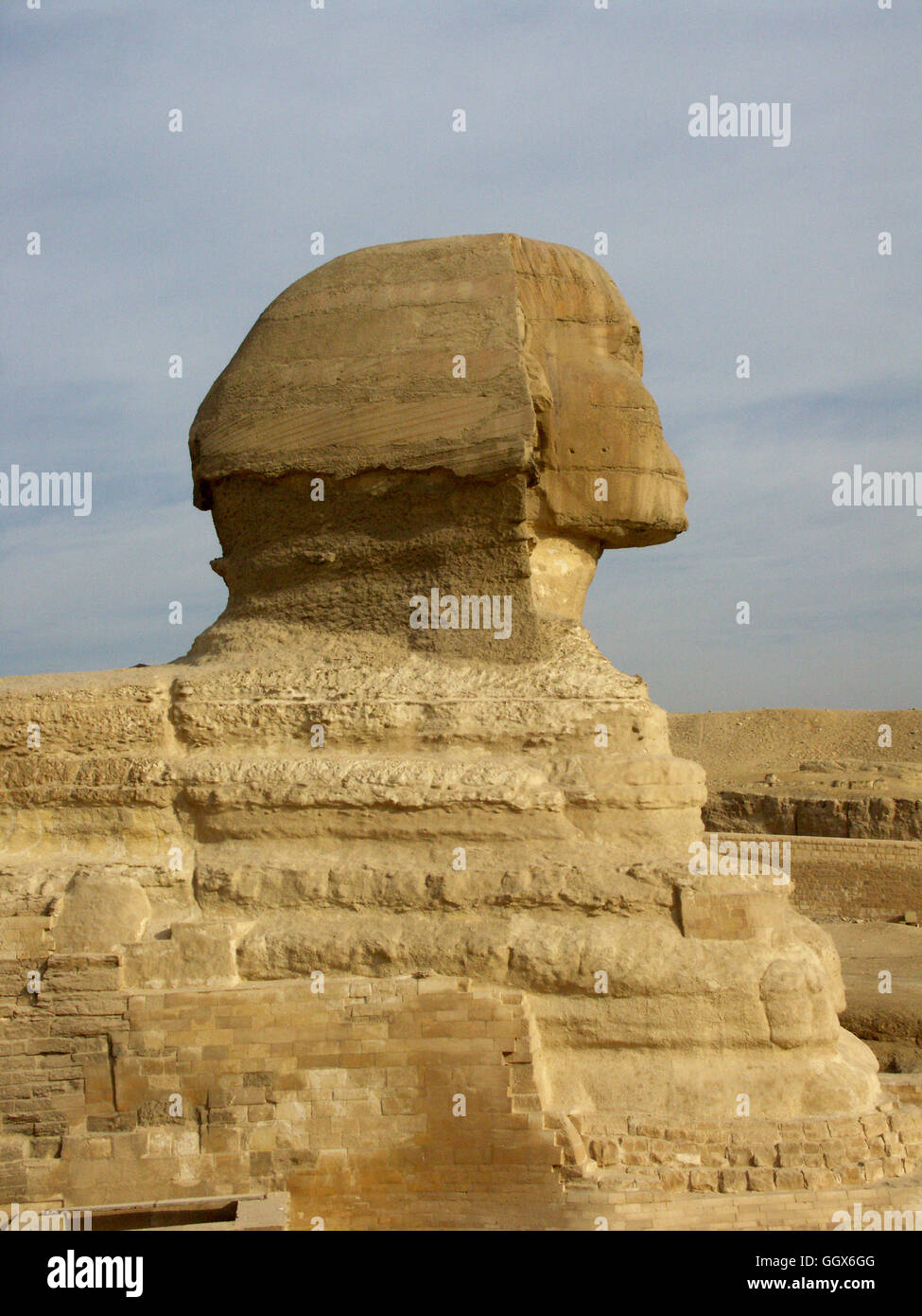 The Great Sphinx at Giza. Cairo - Egypt Stock Photo - Alamy