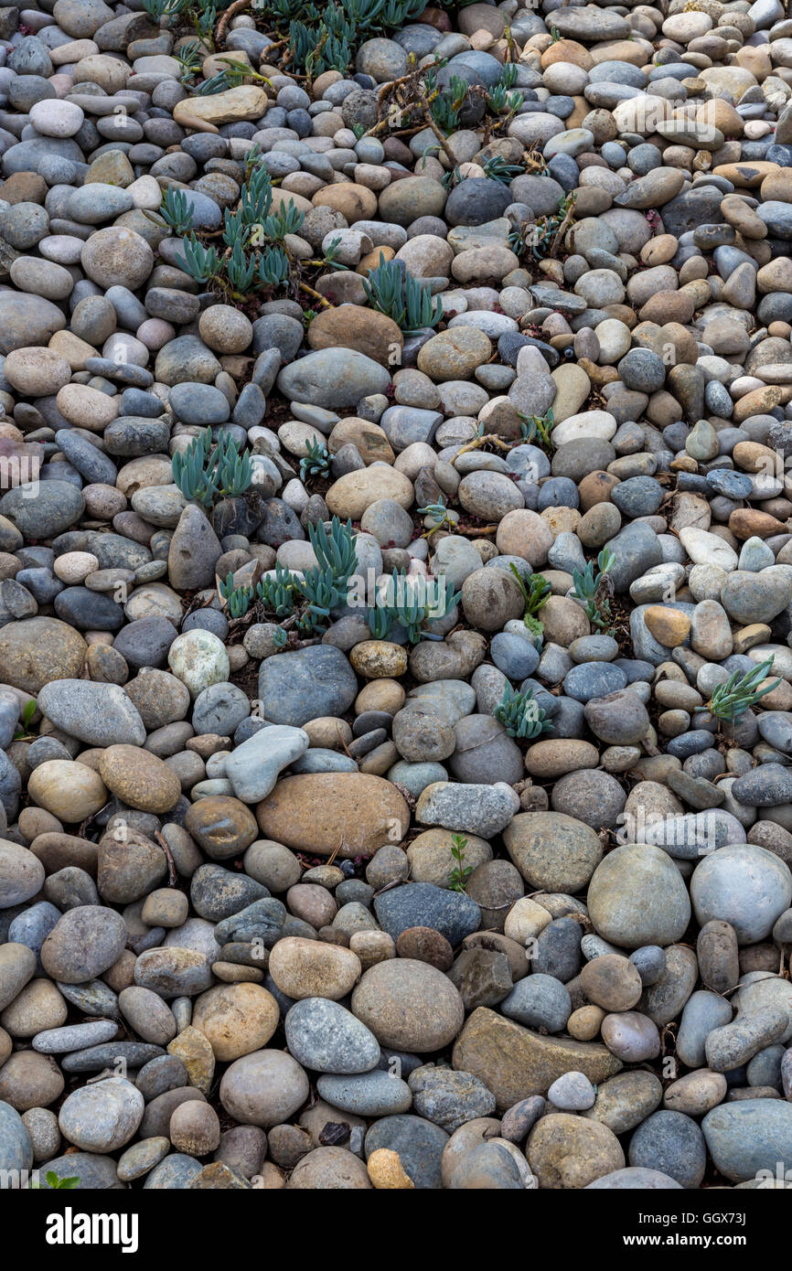 Landscaping with rocks hi-res stock photography and images - Alamy