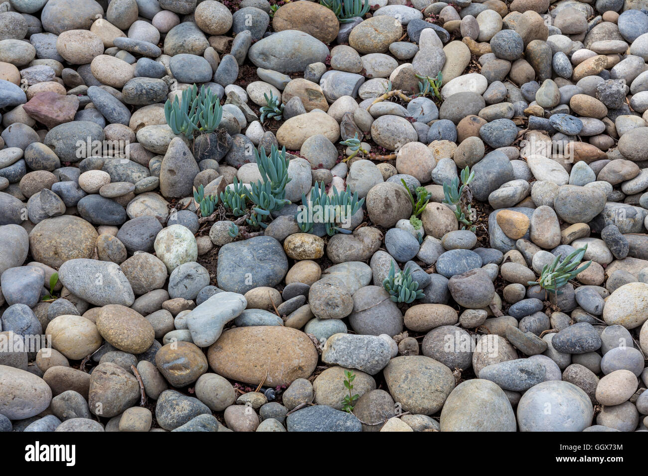 Garden rocks texture hi-res stock photography and images - Alamy