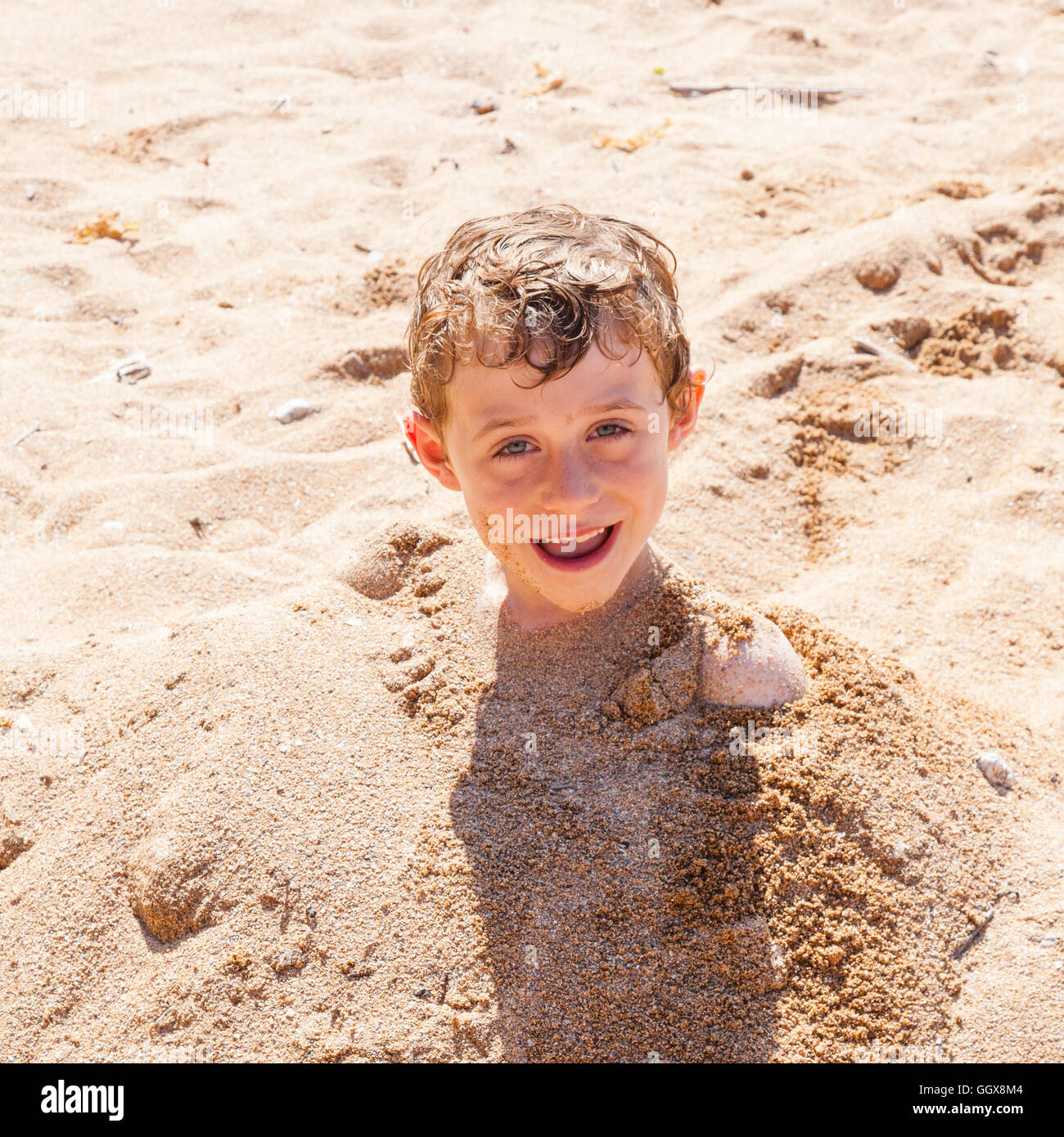 Six year old boy buried in the sand , Hope Cove, Devon, England, United ...