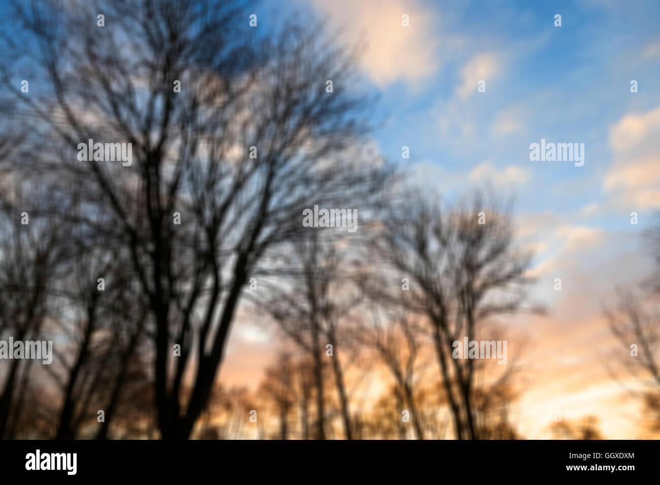 Park at sunset Stock Photo - Alamy