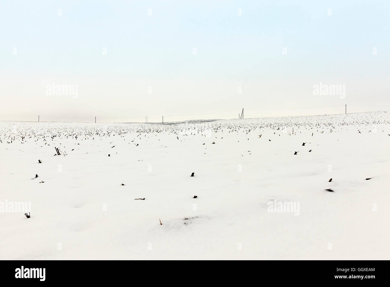 agriculture field in winter Stock Photo - Alamy