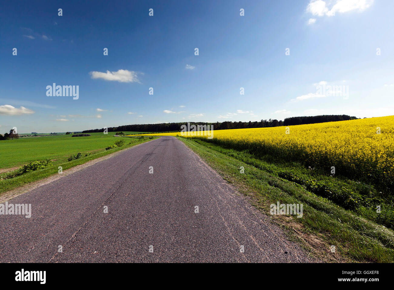 Summer road, field Stock Photo - Alamy