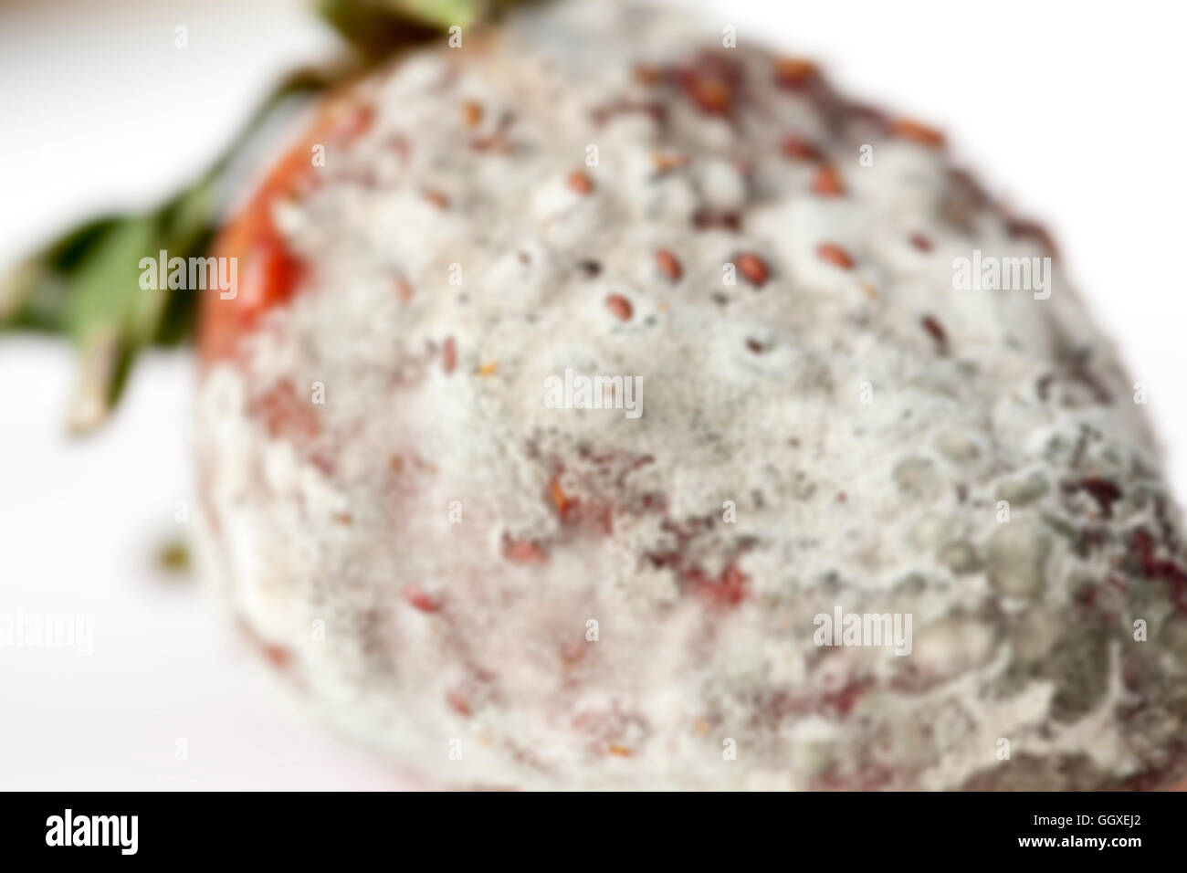 Strawberry with mold Stock Photo - Alamy