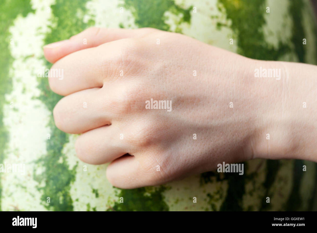 hand on watermelon Stock Photo - Alamy