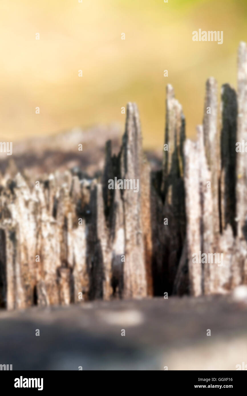 old wood fracture Stock Photo - Alamy