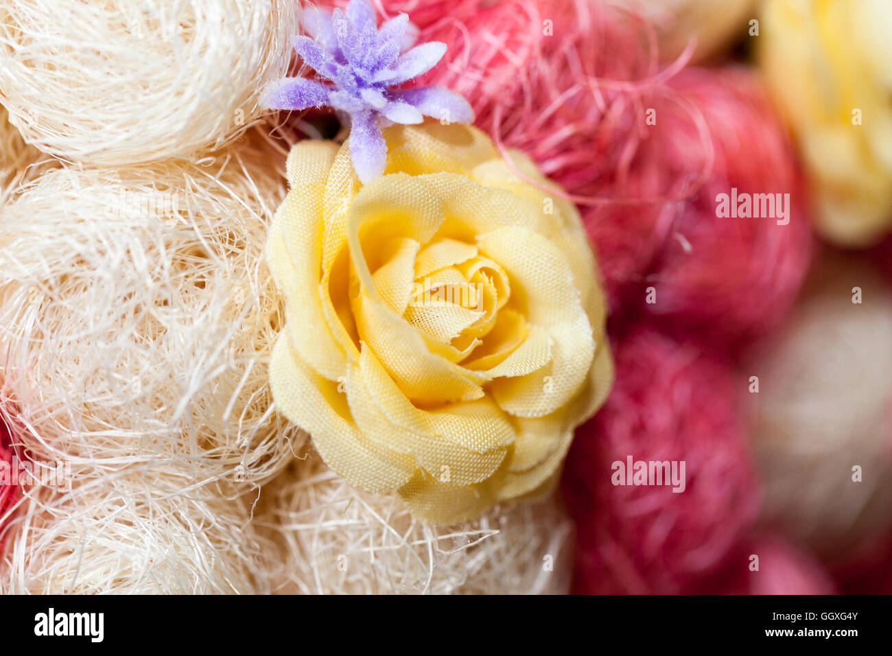 Tree of sisal Stock Photo - Alamy