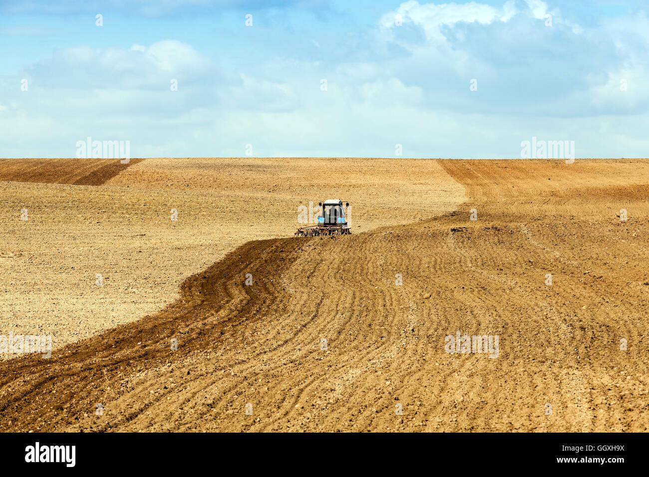 farm field cereals Stock Photo - Alamy