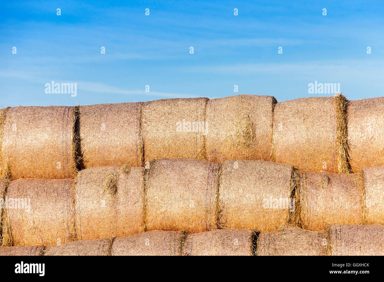 stack of straw in the field Stock Photo - Alamy