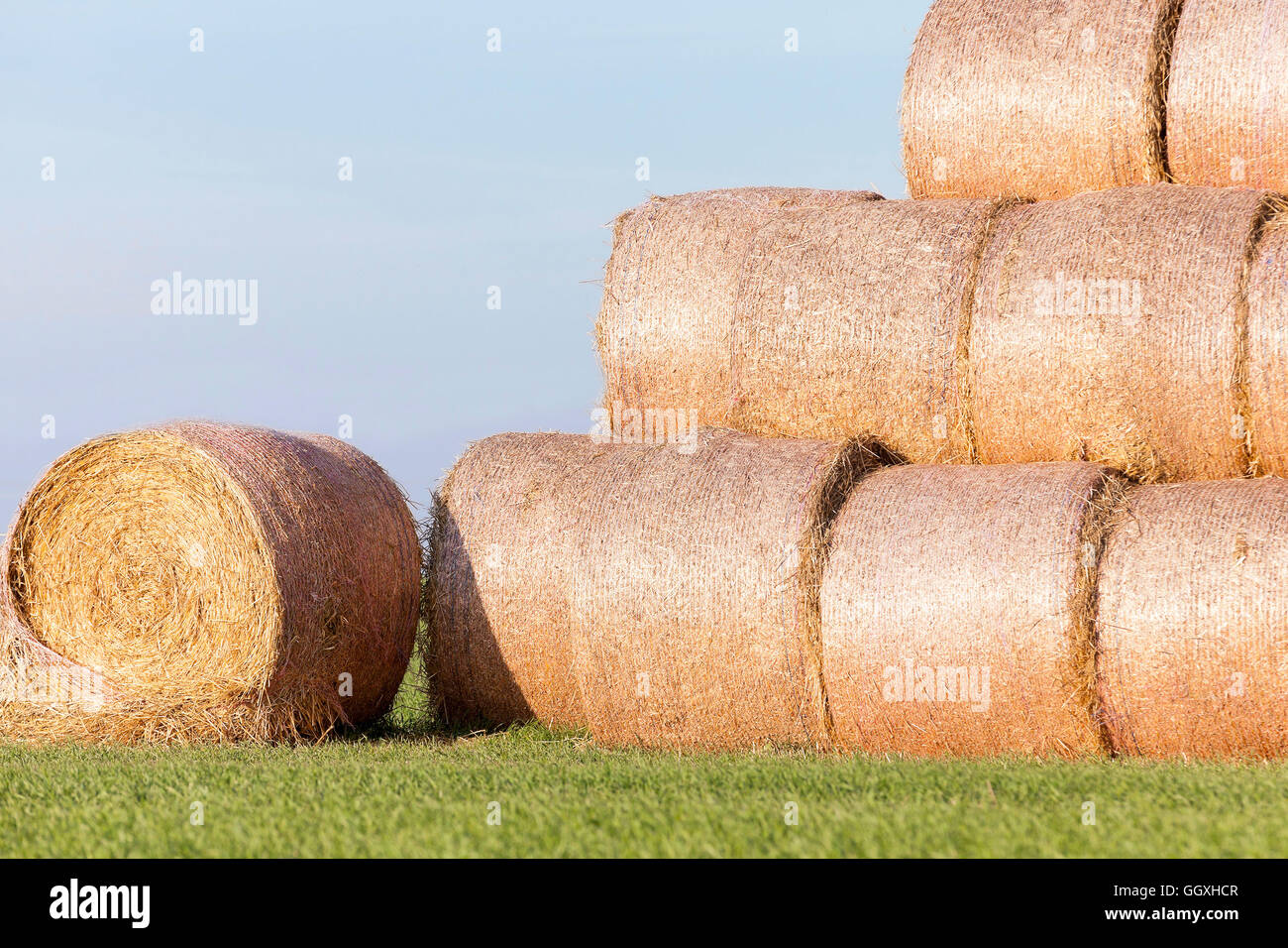 stack of straw in the field Stock Photo - Alamy