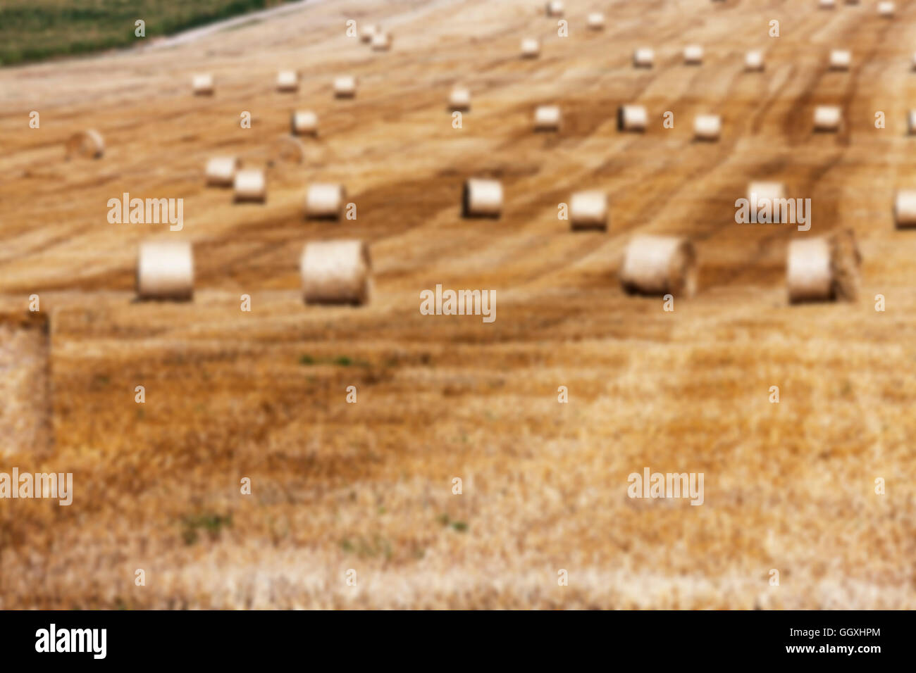 straw in the field Stock Photo - Alamy