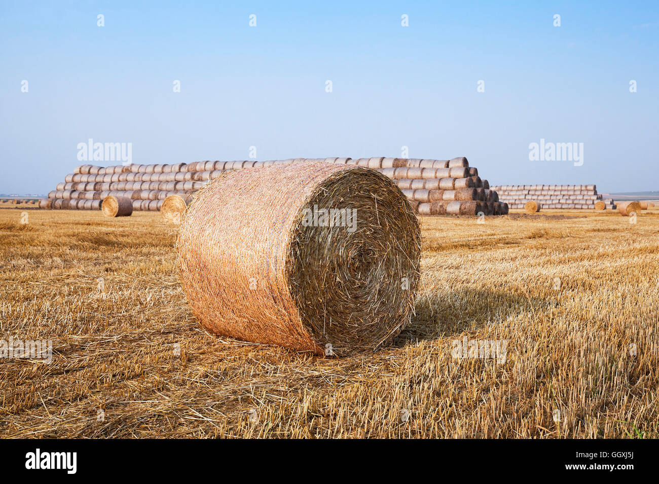 stack of straw in the field Stock Photo - Alamy