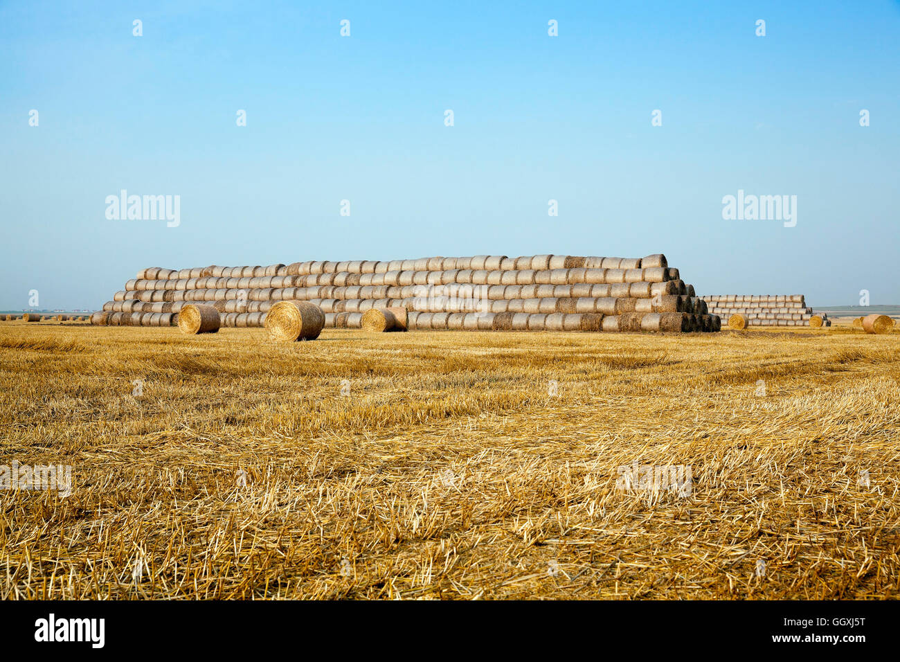 stack of straw in the field Stock Photo - Alamy