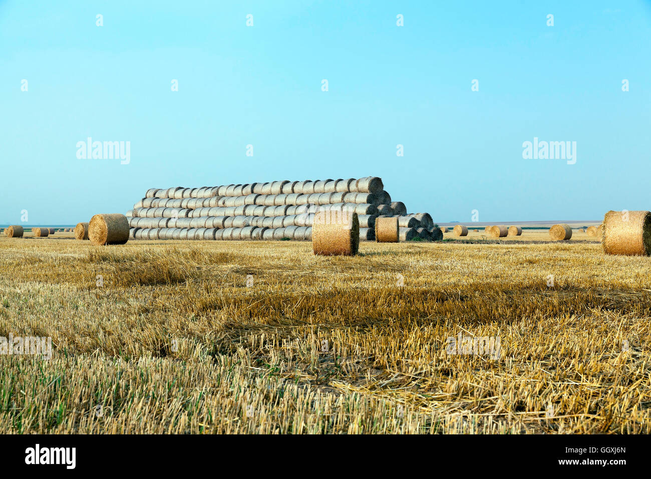 stack of straw in the field Stock Photo - Alamy