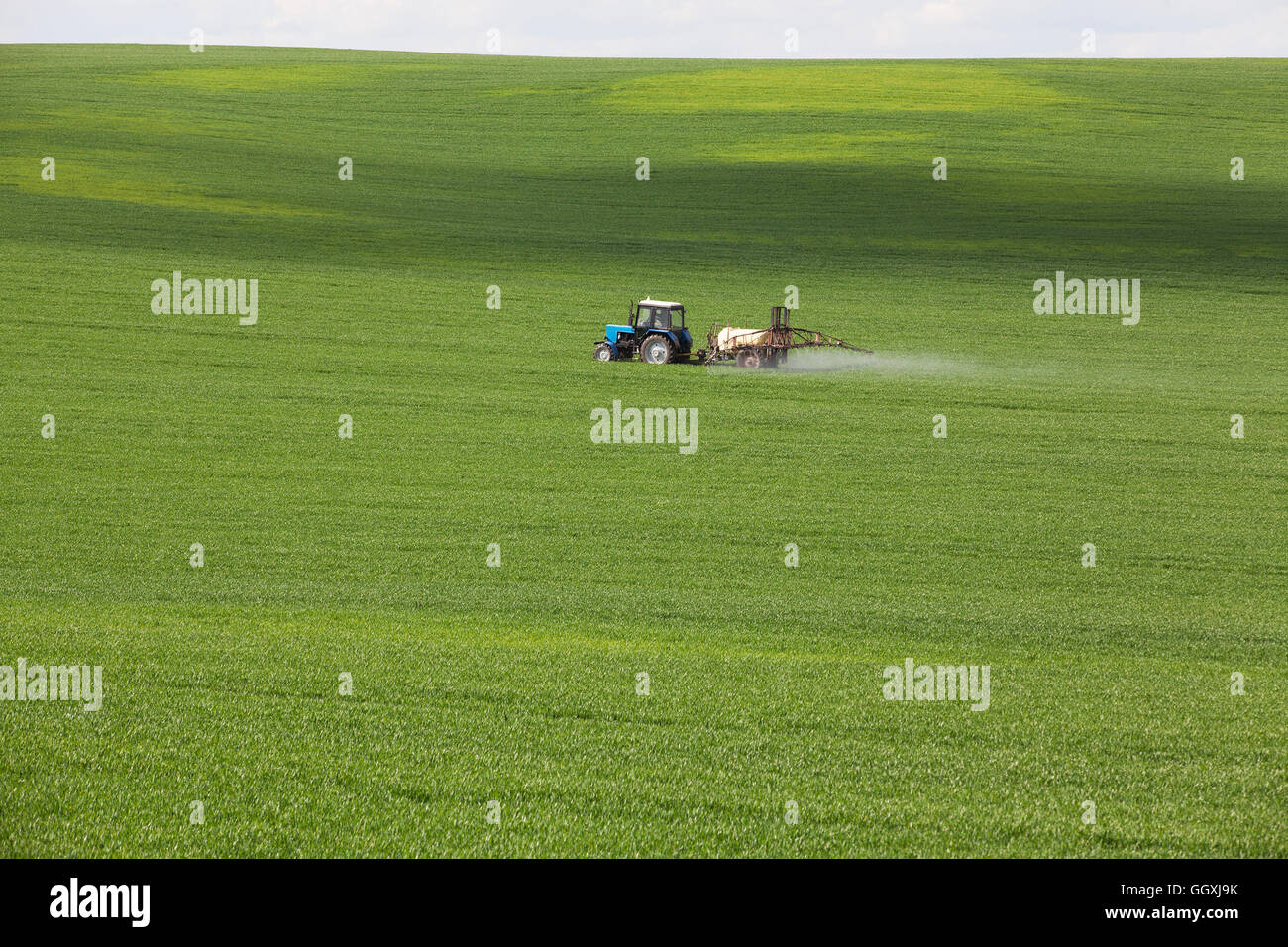 processing of cereals Stock Photo - Alamy