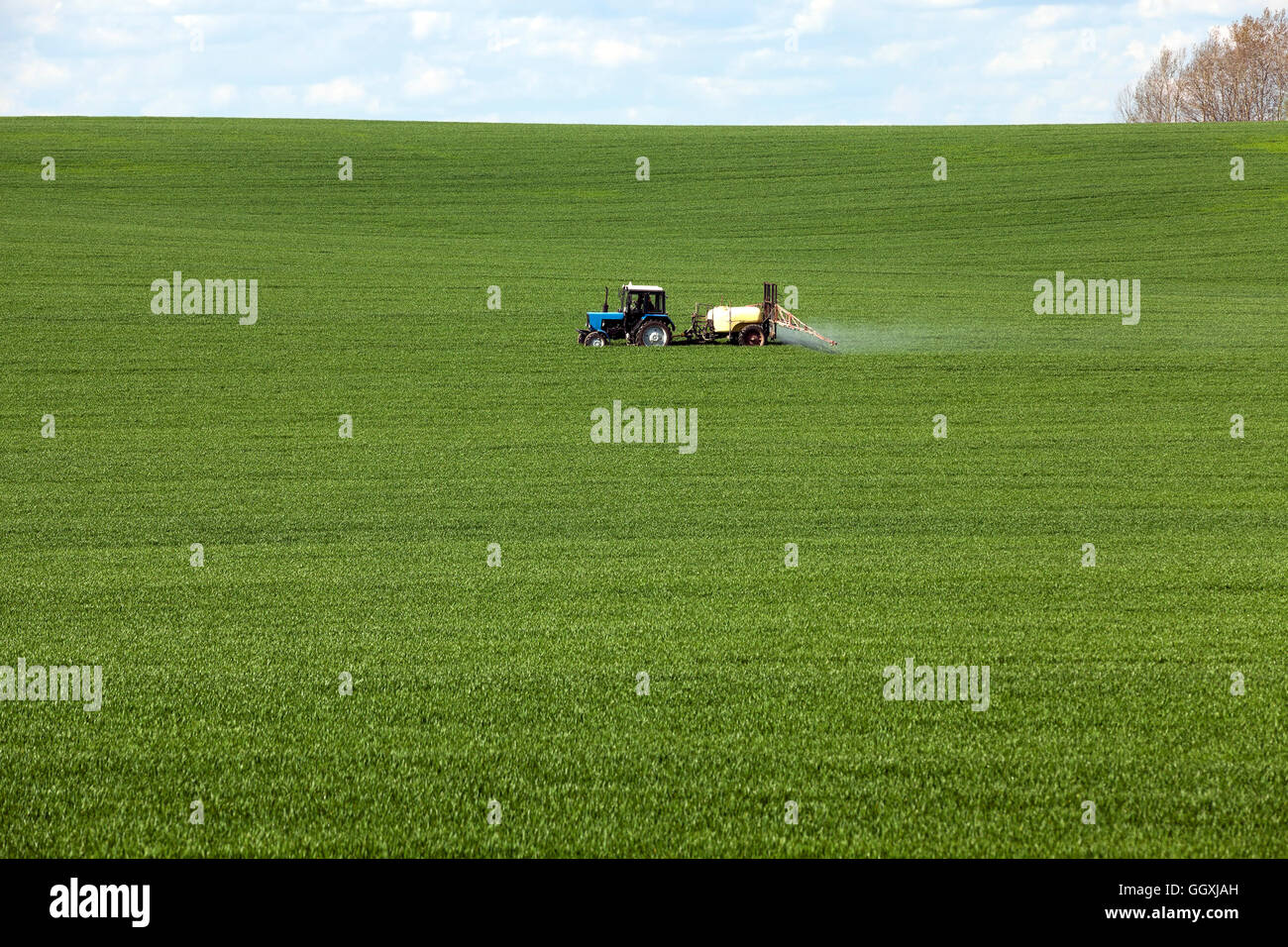 Processing of cereal Stock Photo - Alamy
