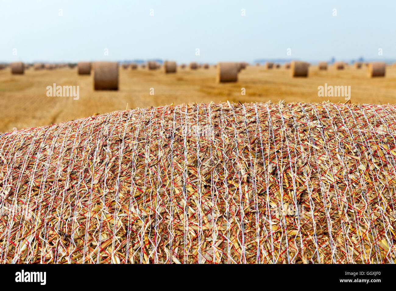 stack of straw in the field Stock Photo - Alamy