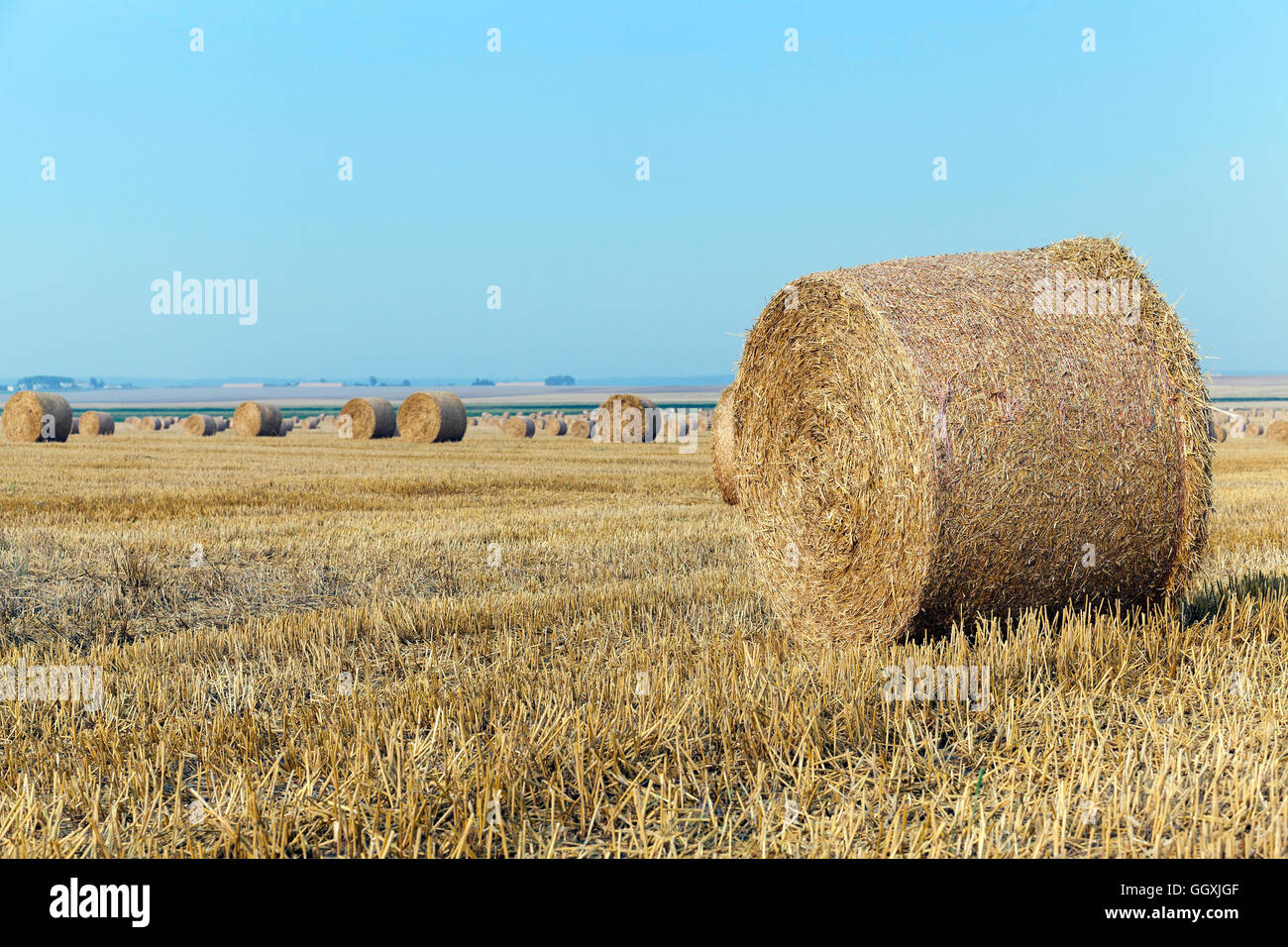 stack of straw in the field Stock Photo - Alamy