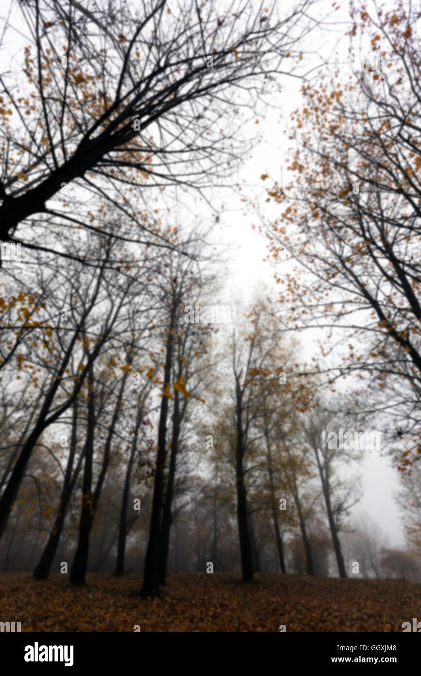 Autumn Park, overcast Stock Photo - Alamy