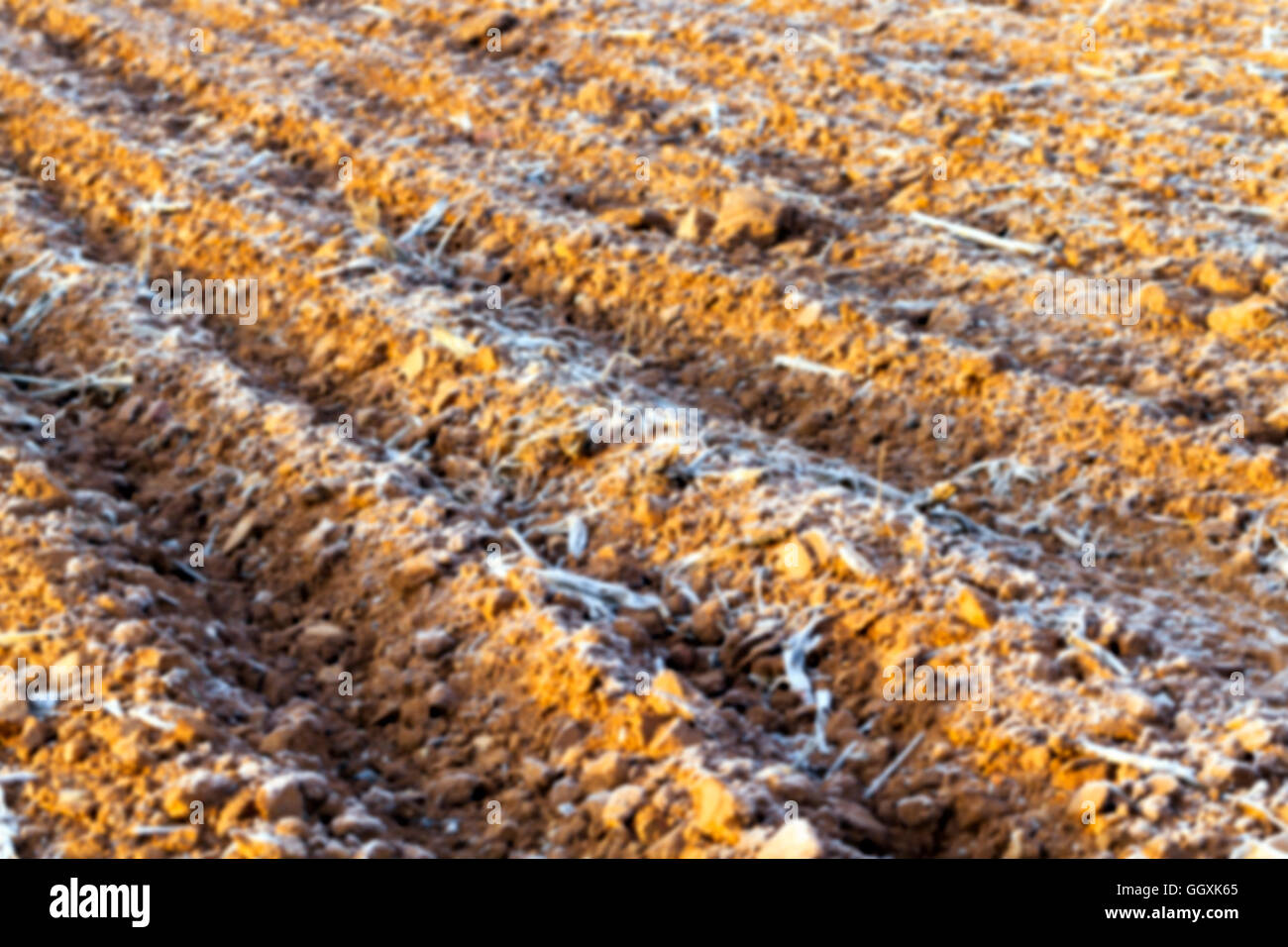 plowed land, frost Stock Photo - Alamy