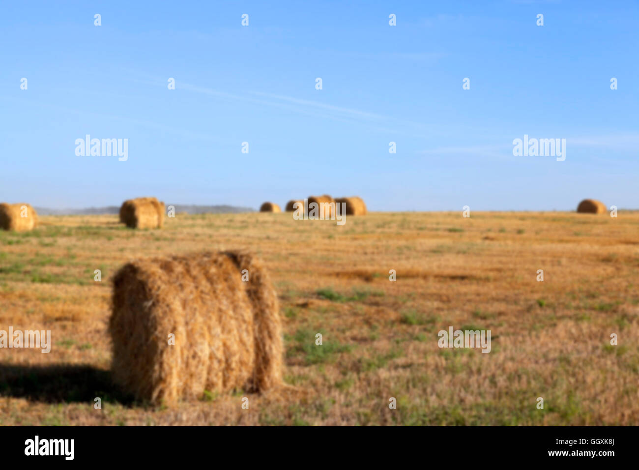 haystacks in a field of straw Stock Photo - Alamy