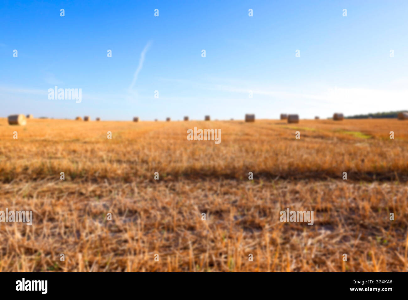 stack of wheat straw Stock Photo - Alamy