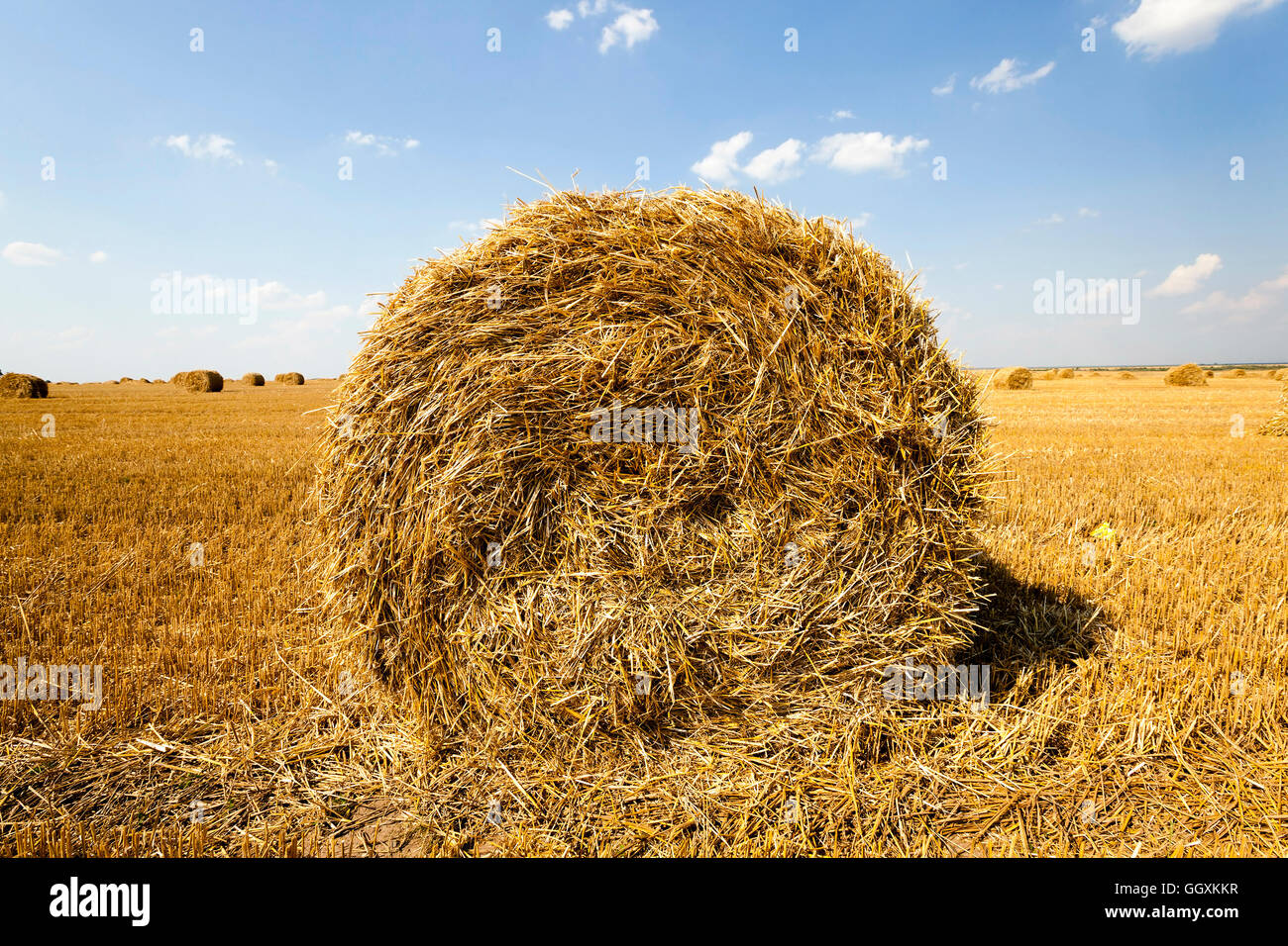haystacks straw lying Stock Photo - Alamy