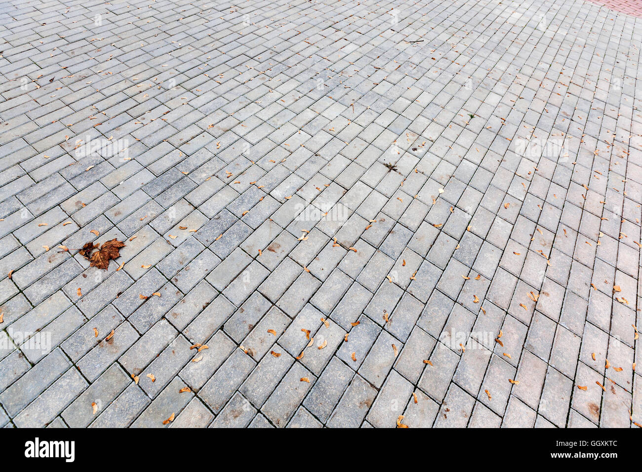 paving tiles, close-up Stock Photo - Alamy