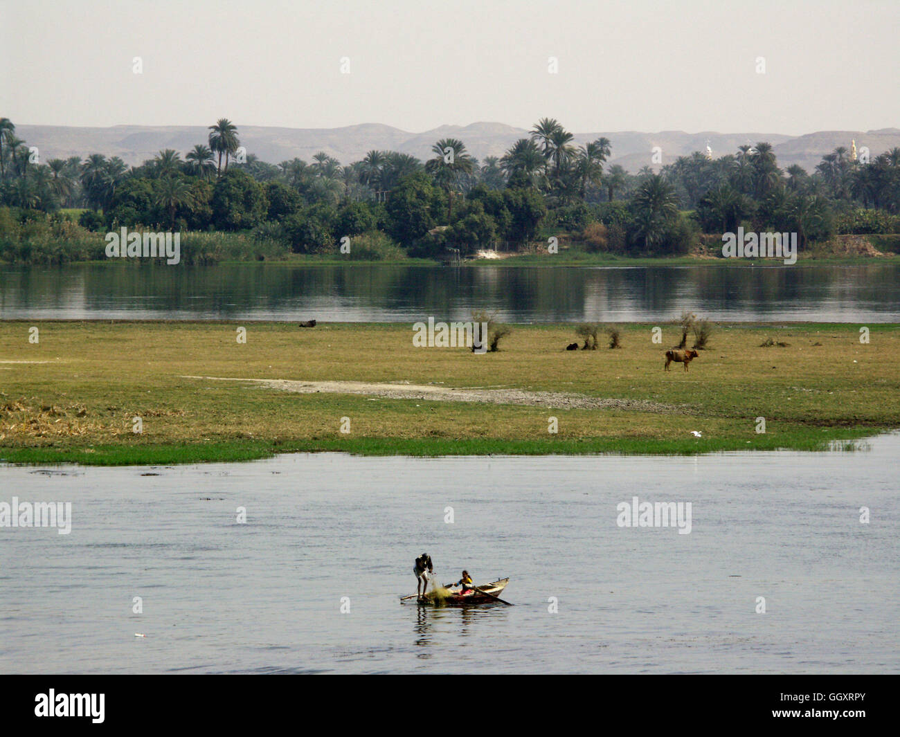 Pastoral scene of farming and fishing on the Nile River between Edfu ...