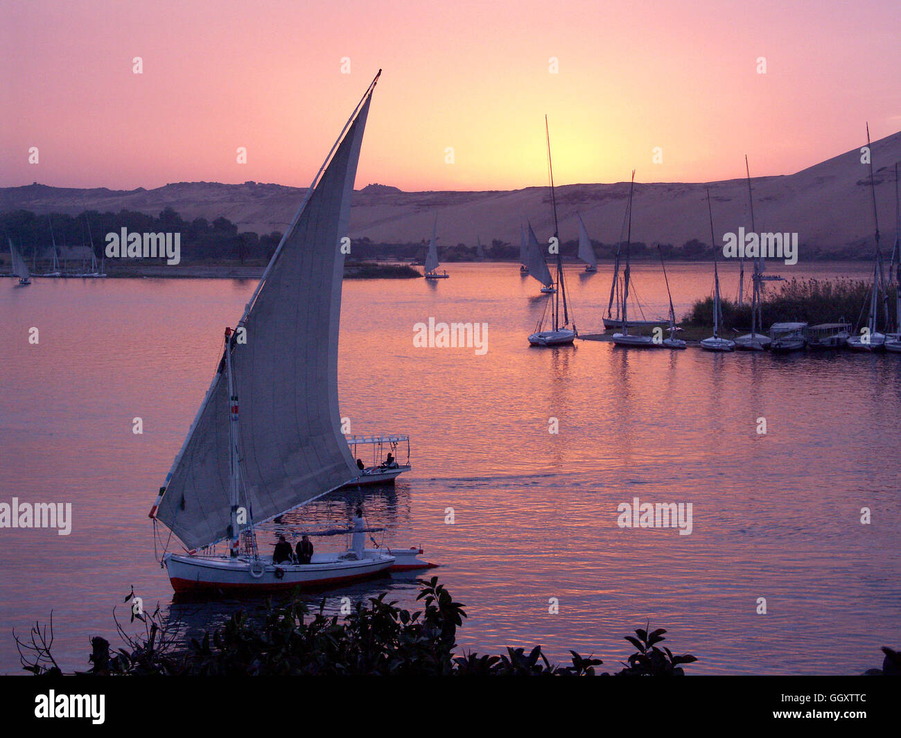 Felucca sailboats on the Nile at sunset in Aswan – Egypt Stock Photo ...