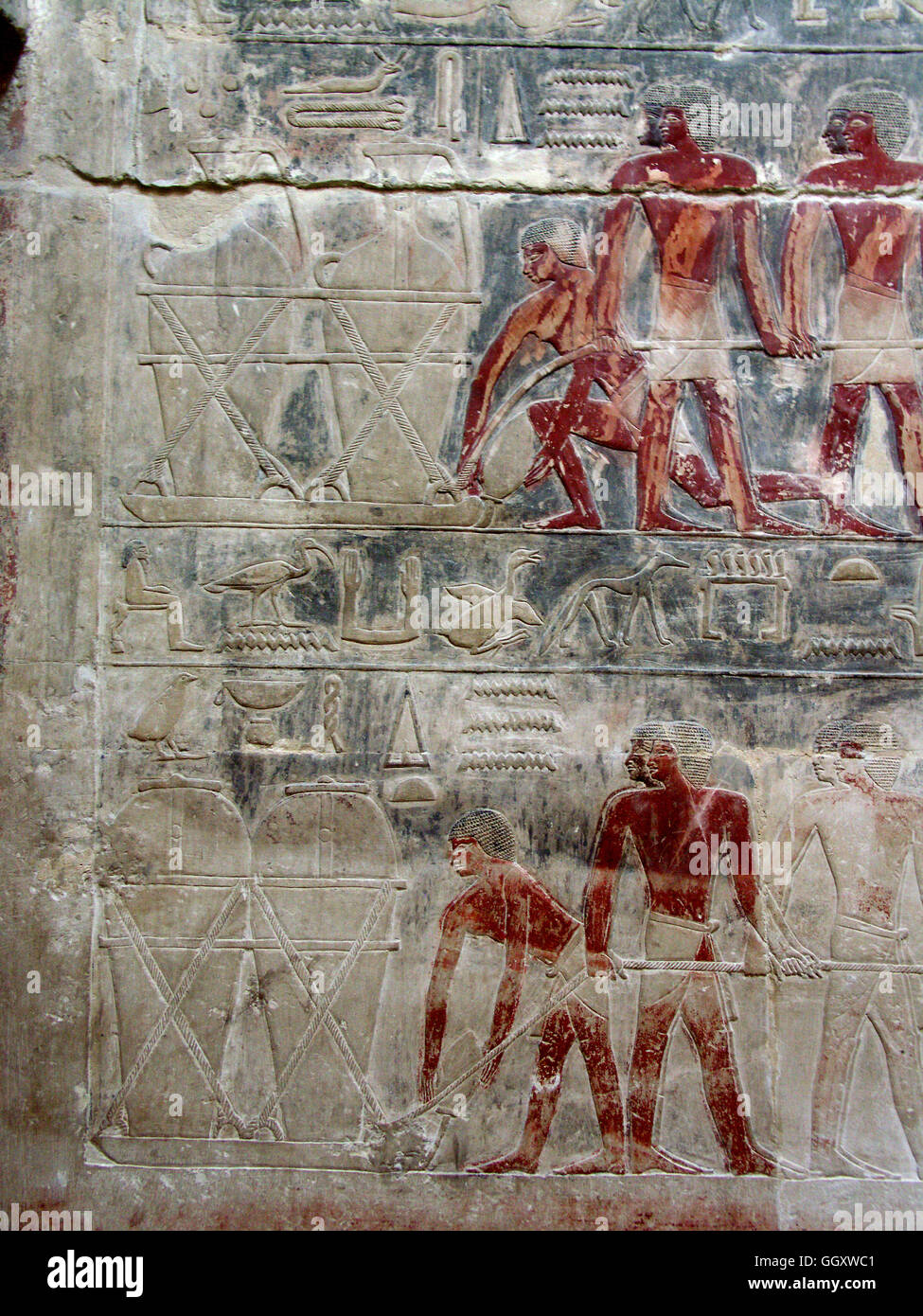 Wall relief of men dragging a sled in the tomb of Mereruka. Saqqara ...