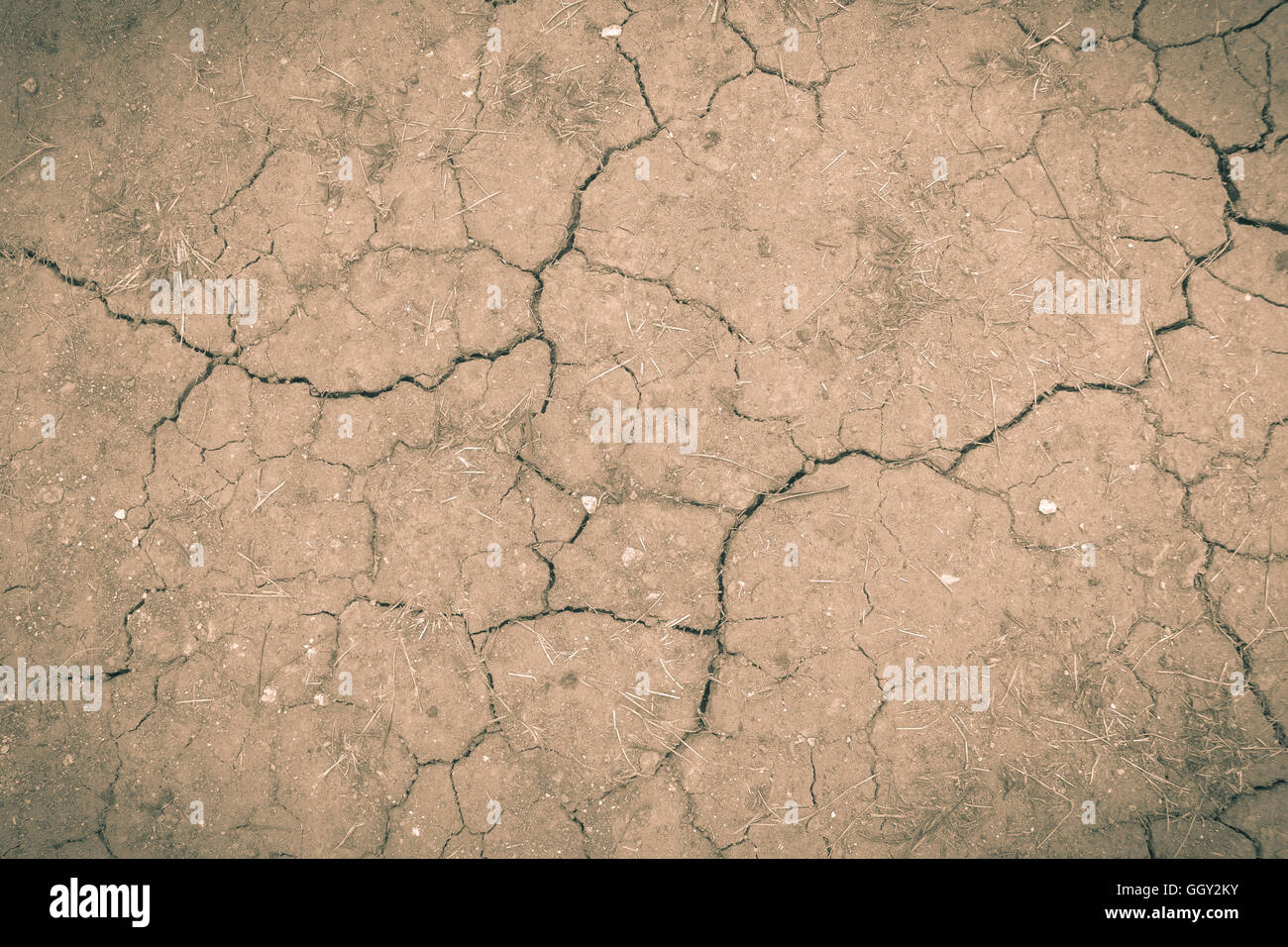 Seamless natural texture surface soil hi-res stock photography and ...