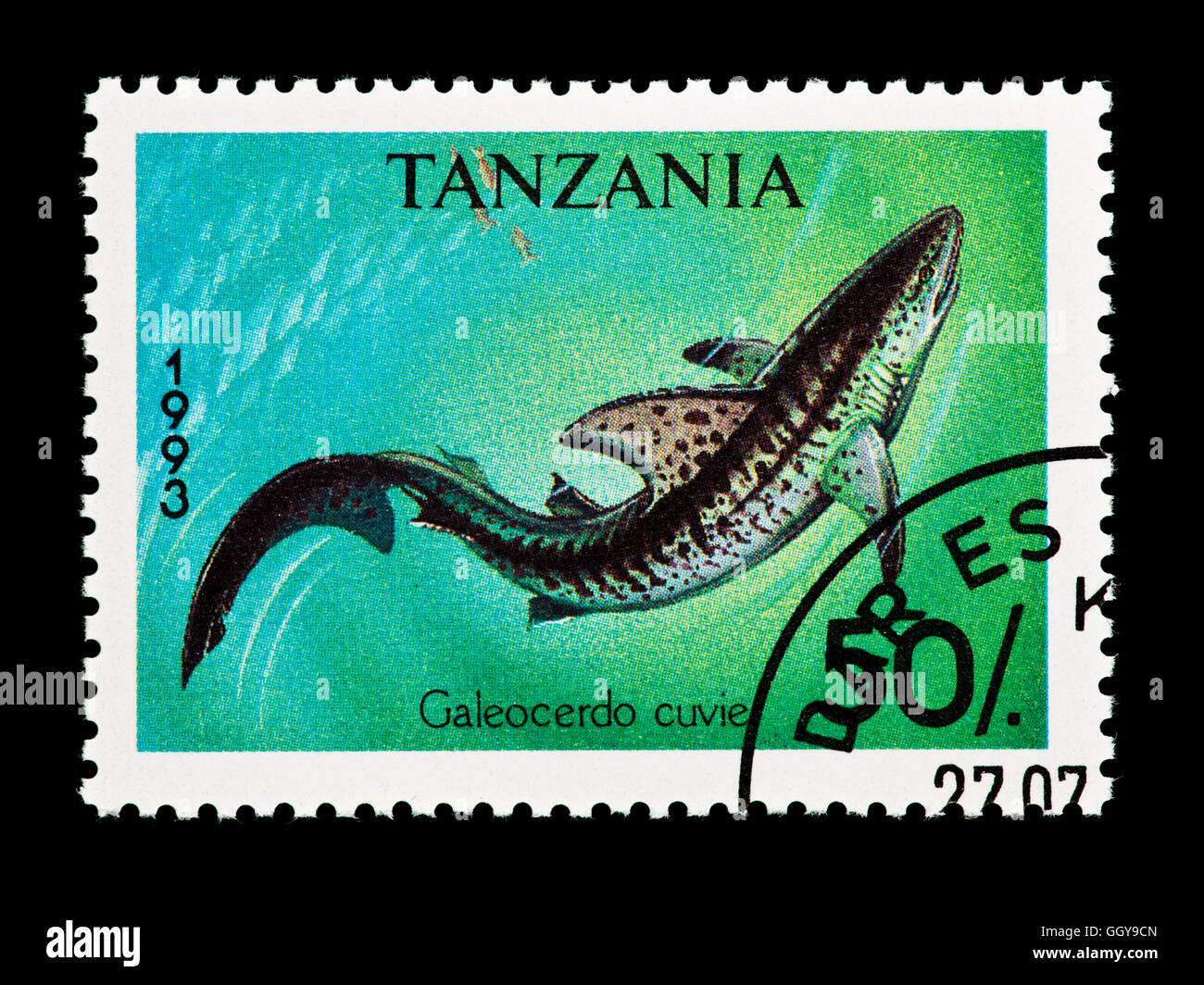 Postage stamp from Tanzania depicting a tiger shark (Galeocerdo cuvie ...