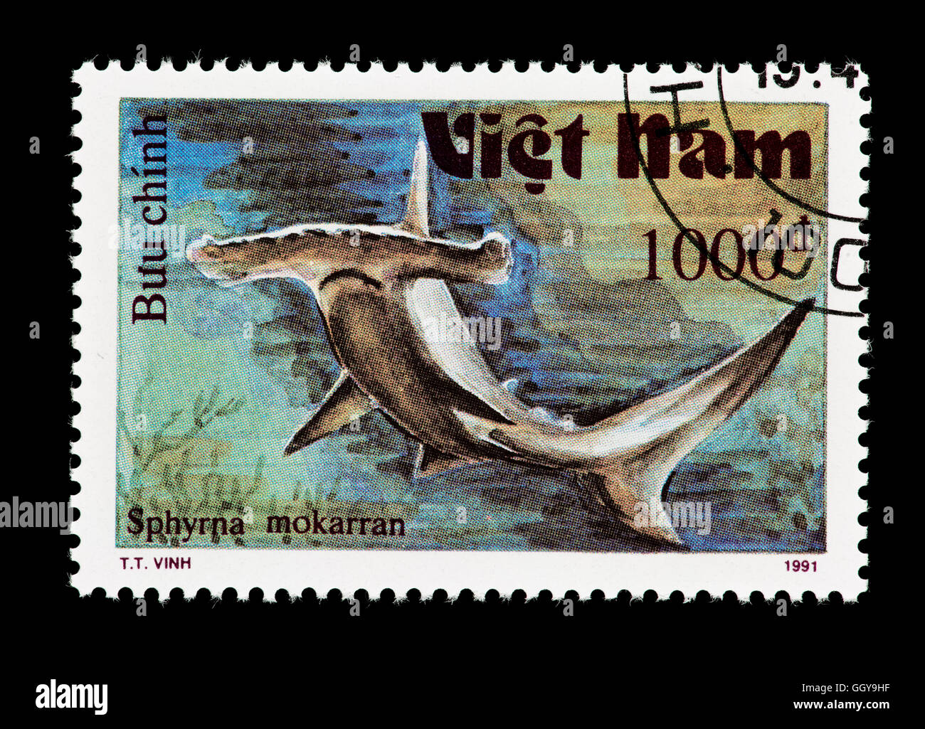 Postage stamp from Vietnam depicting great hammerhead shark (Sphyrna ...