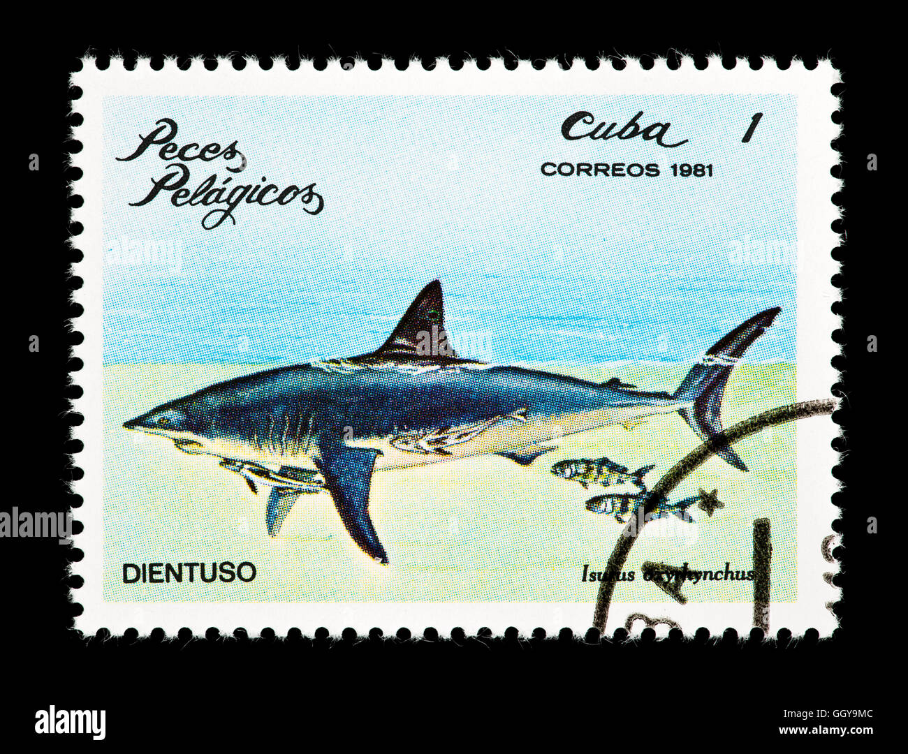 Postage stamp from Cuba depicting shortfin mako shark (Isurus ...