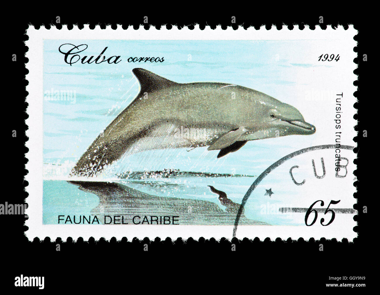 Postage stamp from Cuba depicting common bottlenose dolphin (Tursiops ...