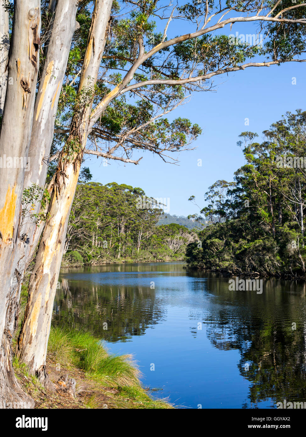 Denmark River in Denmark in Western Australia Stock Photo - Alamy
