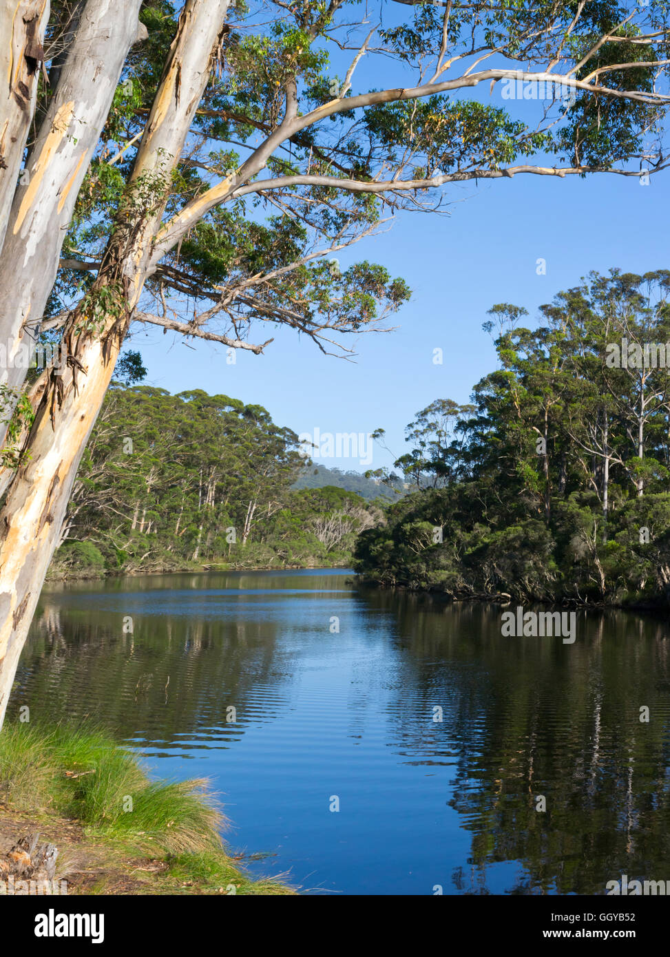 Denmark River in Denmark in Western Australia Stock Photo - Alamy