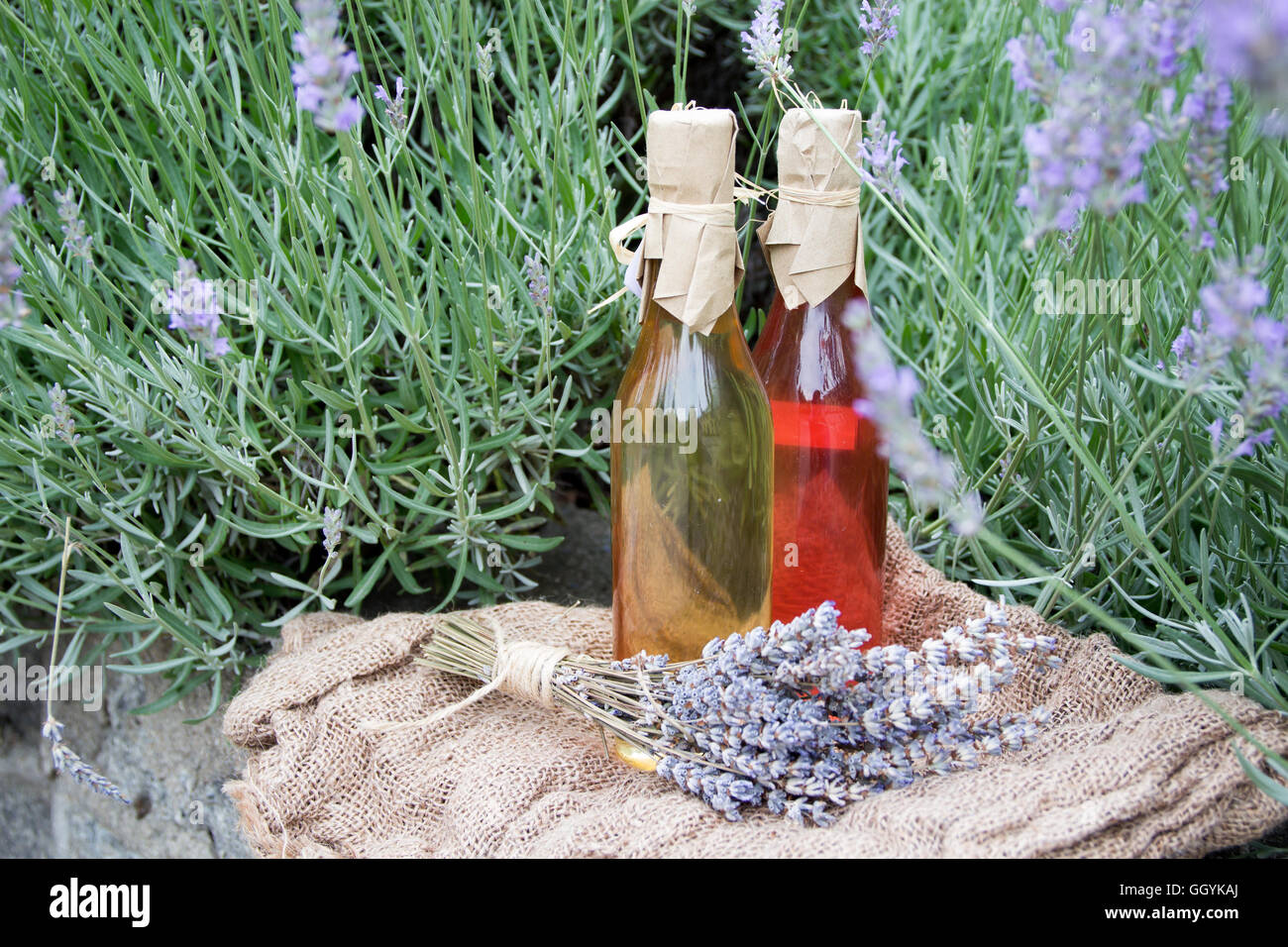 Lavender sage hi-res stock photography and images - Alamy