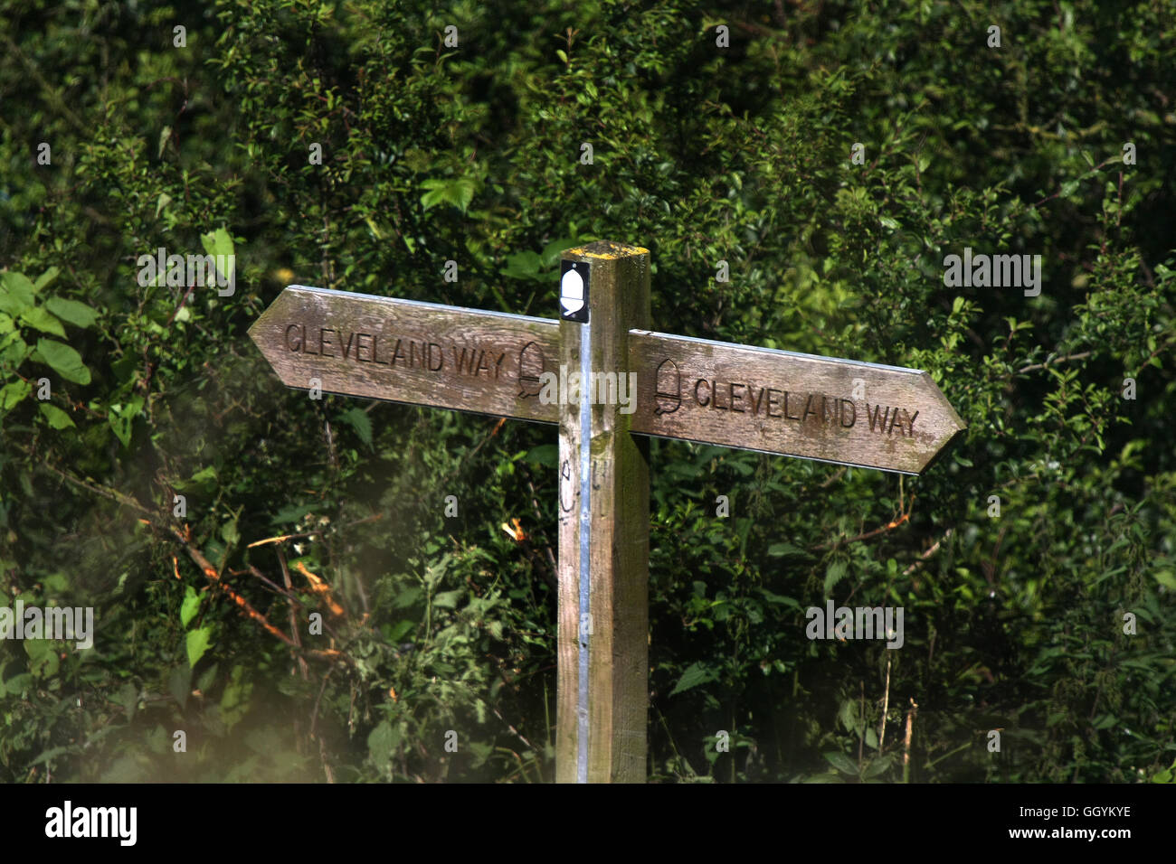 Walkers coastal footpath sign for the Cleveland Way, East coast, UK ...