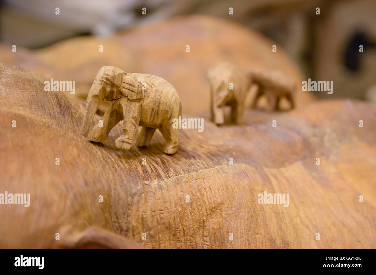 Elephant tusk art hi-res stock photography and images - Alamy