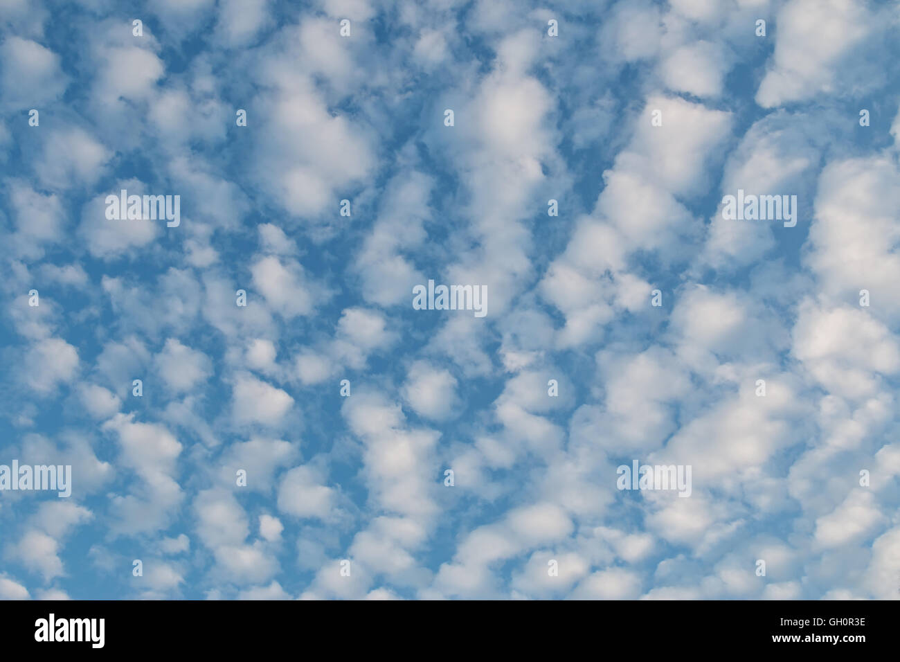 Altocumulus clouds hi-res stock photography and images - Alamy
