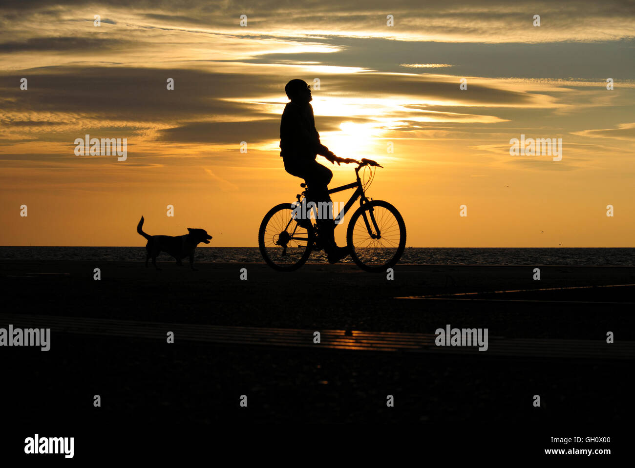 Bike ride at sunset Stock Photo - Alamy