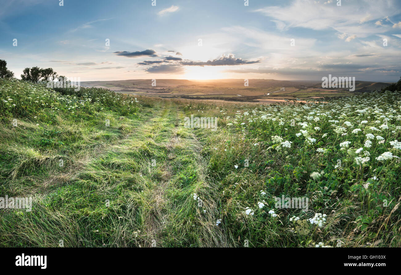 Beautiful sunset landscape image over English rolling countryside Stock ...