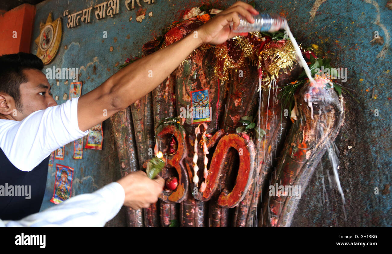 Kathmandu, Nepal. 7th Aug, 2016. A Hindu devotee offers cow milk to a ...