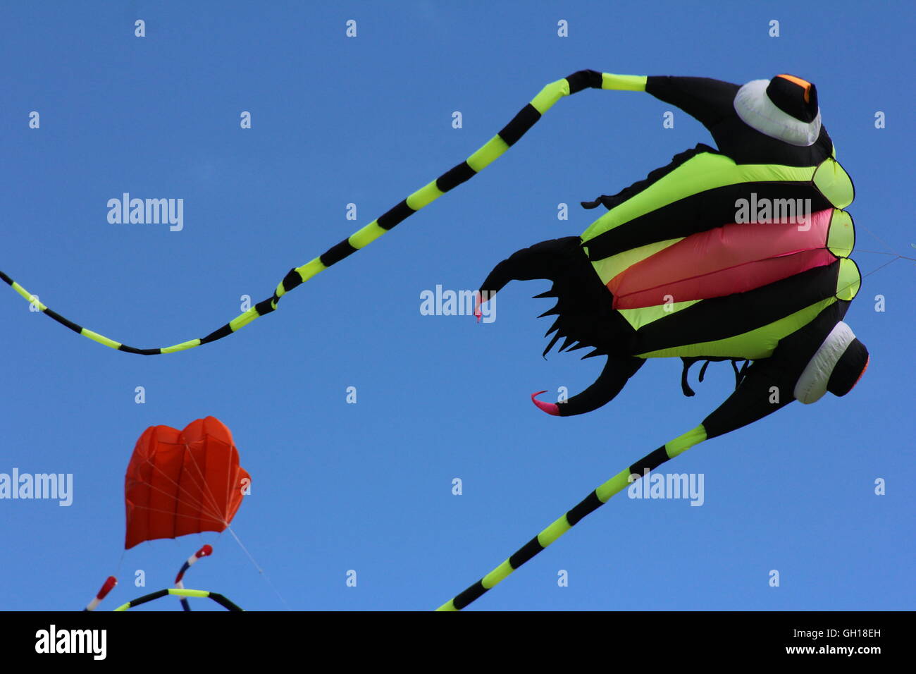 David whitley hi-res stock photography and images - Alamy