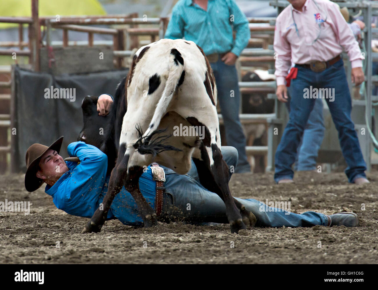 Vancouver, Vancouver. 7th Aug, 2016. A cowboy particates in steer ...