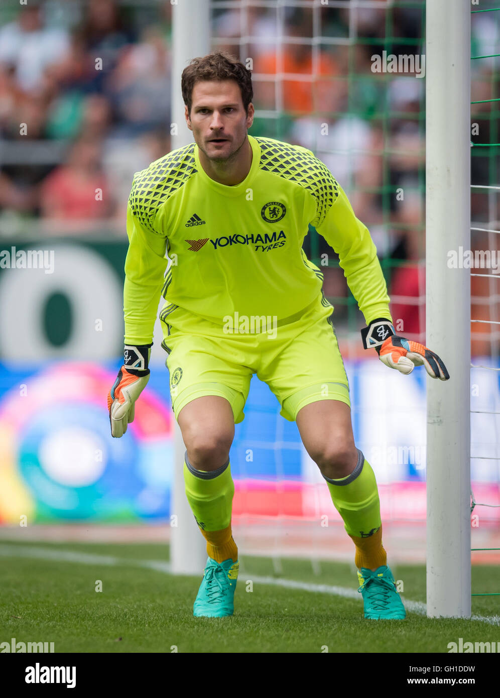 Bremen, Germany. 7th Aug, 2016. Chelsea's goalkeeper Asmir Begovic in ...